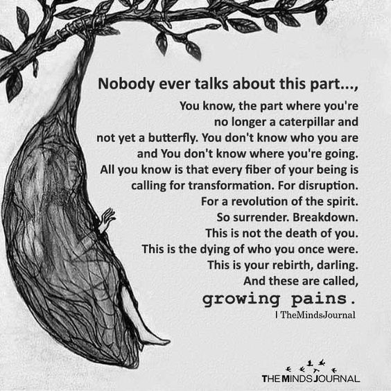 Growing Pains – Donna Pool ~ His Way