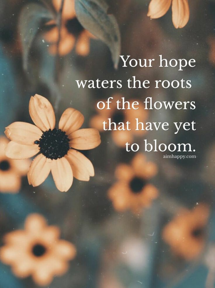 Hope Blooms – Donna Pool ~ His Way